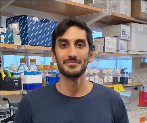 Nauman Javed successfully defends dissertation | Cell Biology